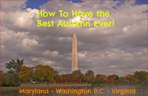 Fall Fun for Everyone in the Baltimore–Washington Metropolitan Area ...