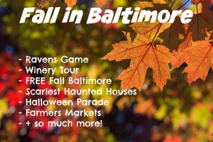 Things to do in Baltimore in the Fall | Hirschfeld