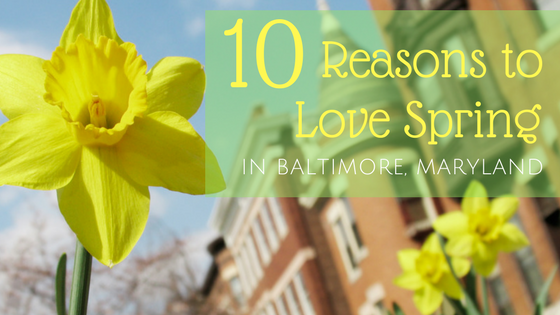 10-reasons-to-love-spring-in-baltimore-maryland | Hirschfeld