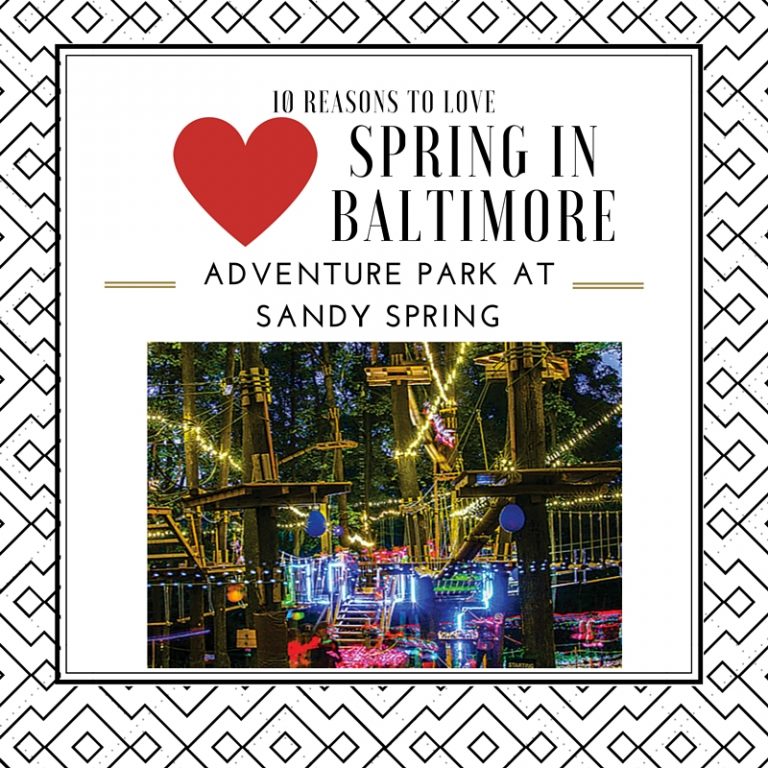 10 Reasons to Love Spring in Baltimore, MD | Hirschfeld