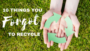10 Things You Forgot to Recycle | Hirschfeld