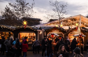 Winter Festivals in Baltimore | Hirschfeld